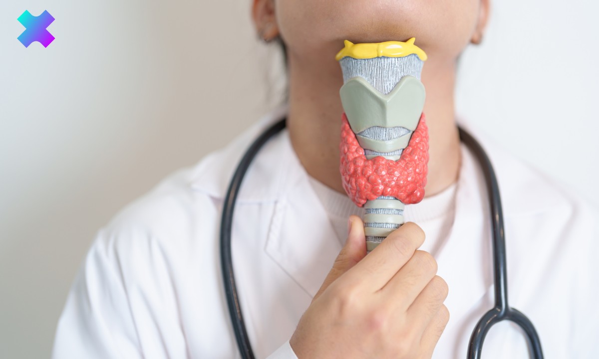 Limfocyty – jak interpretować wyniki badań krwi? - Nexmed